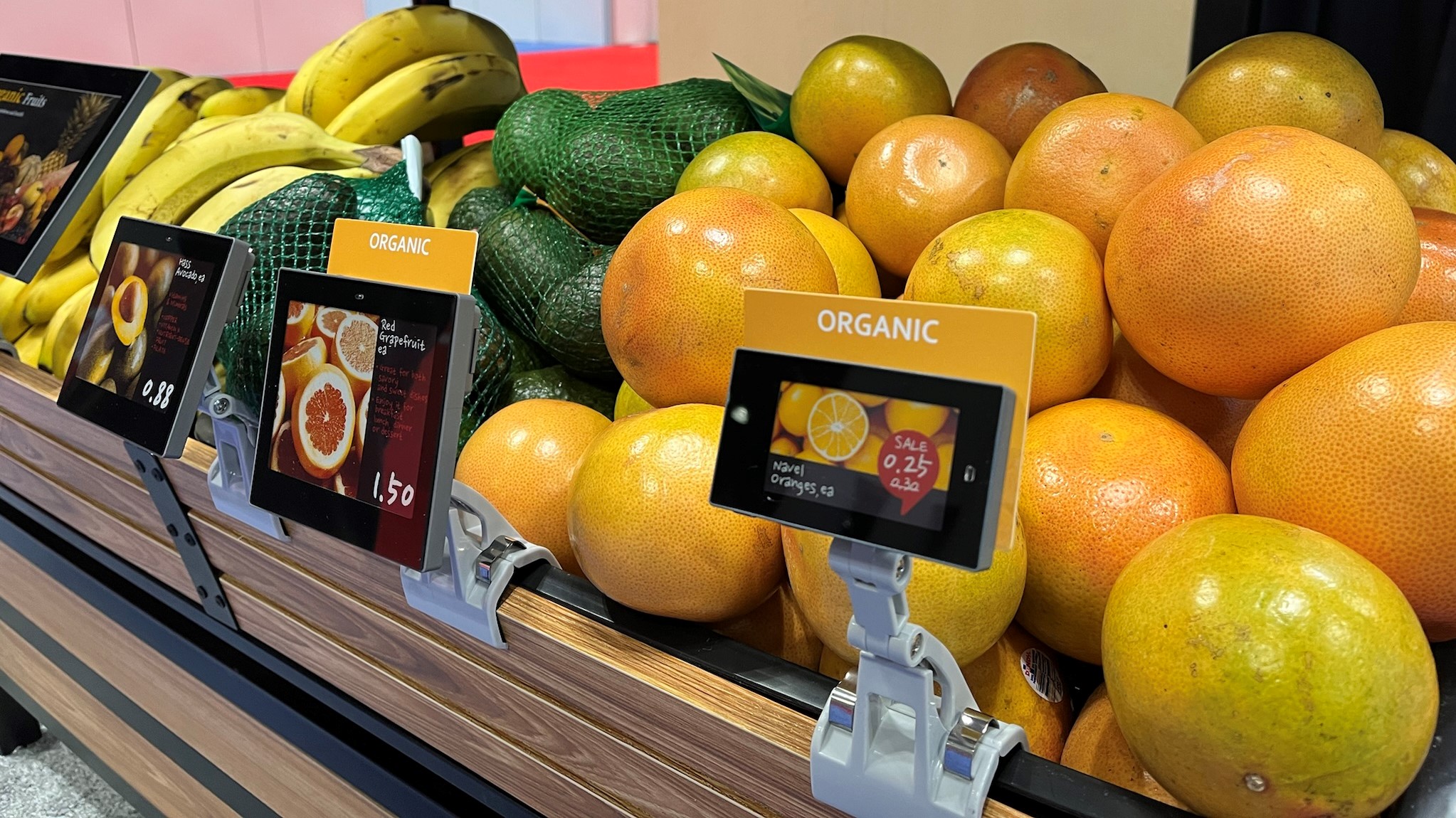 Fast Facts About Newton ESL Colors | SOLUM Blog